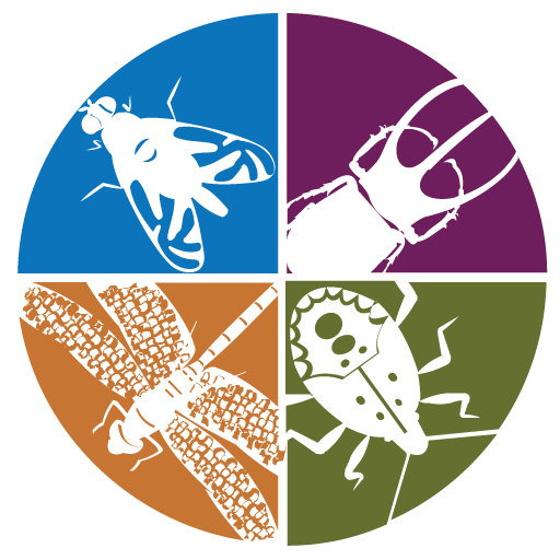 Coccinellidae – The Florida State Collection of Arthropods